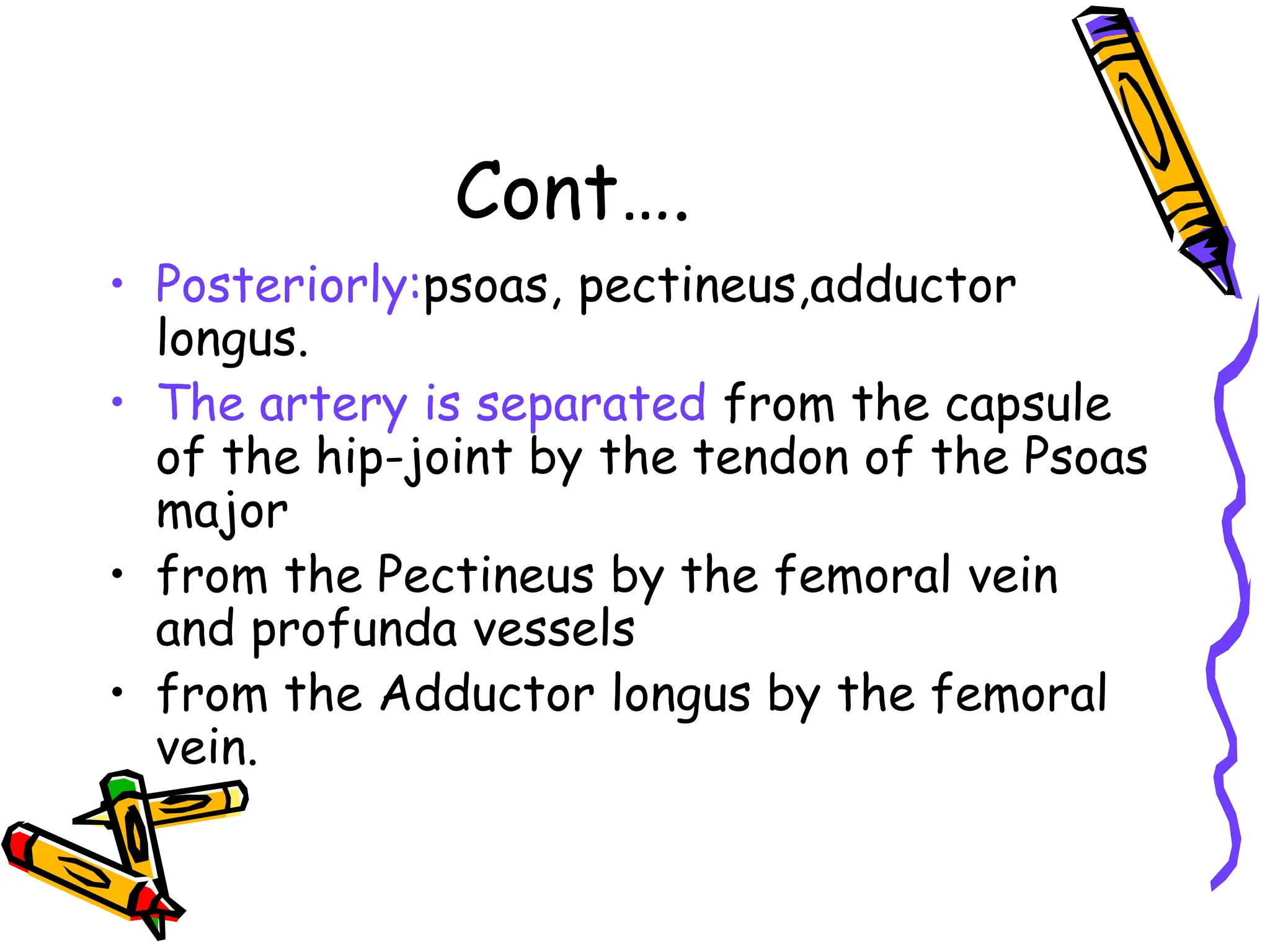Anterior compartment of thigh.ppt