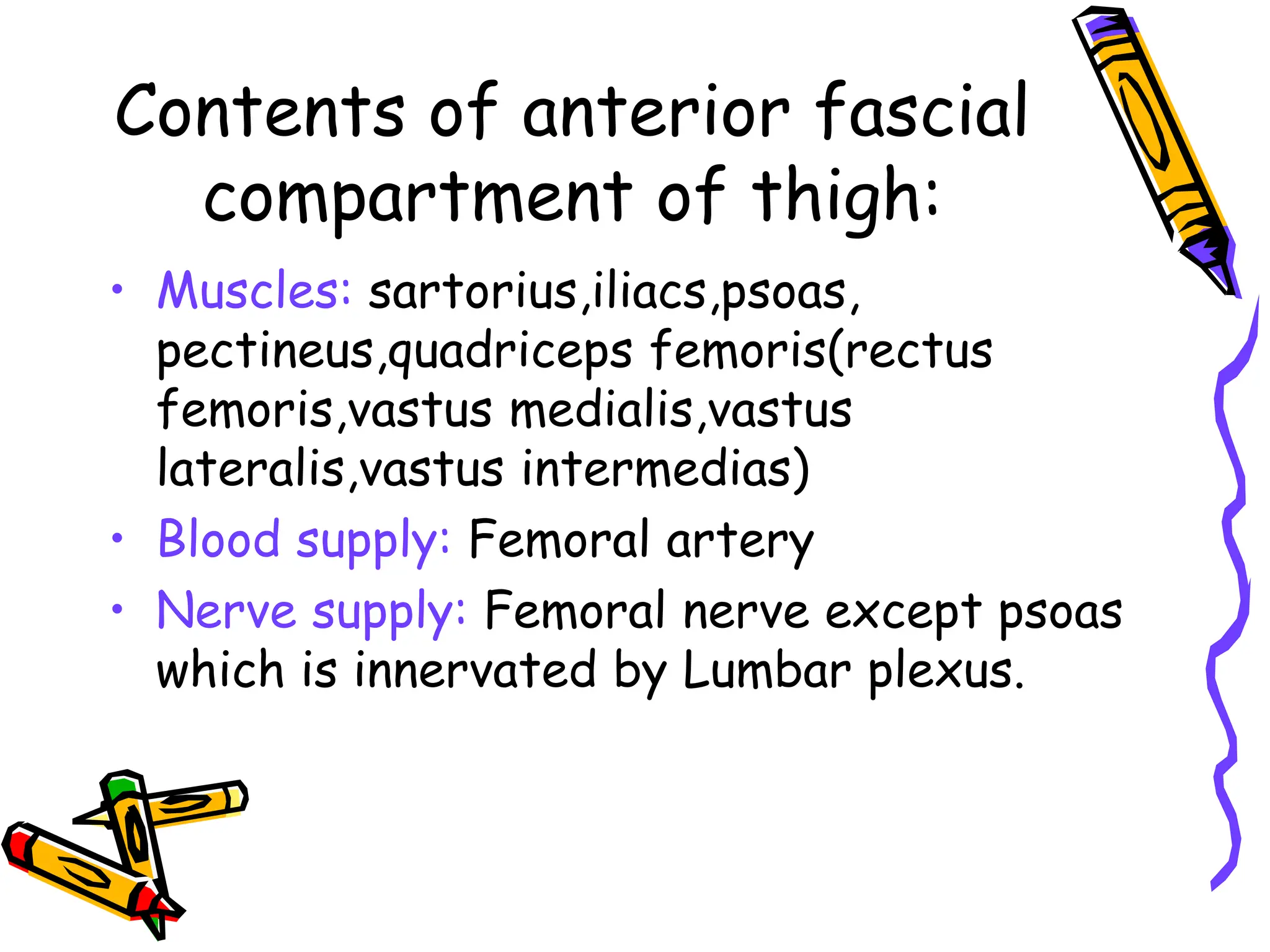 Anterior compartment of thigh.ppt