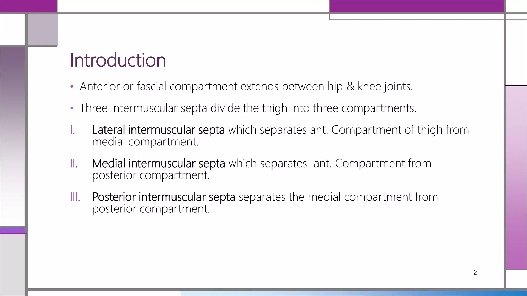 Anterior compartment of thigh copy | PPTX