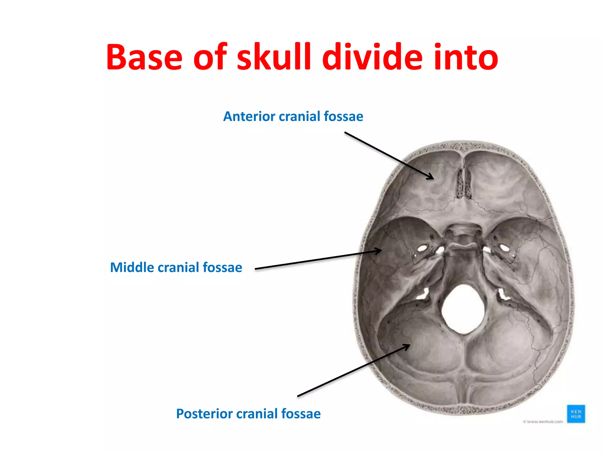 anterior cranial fossa.pptx
