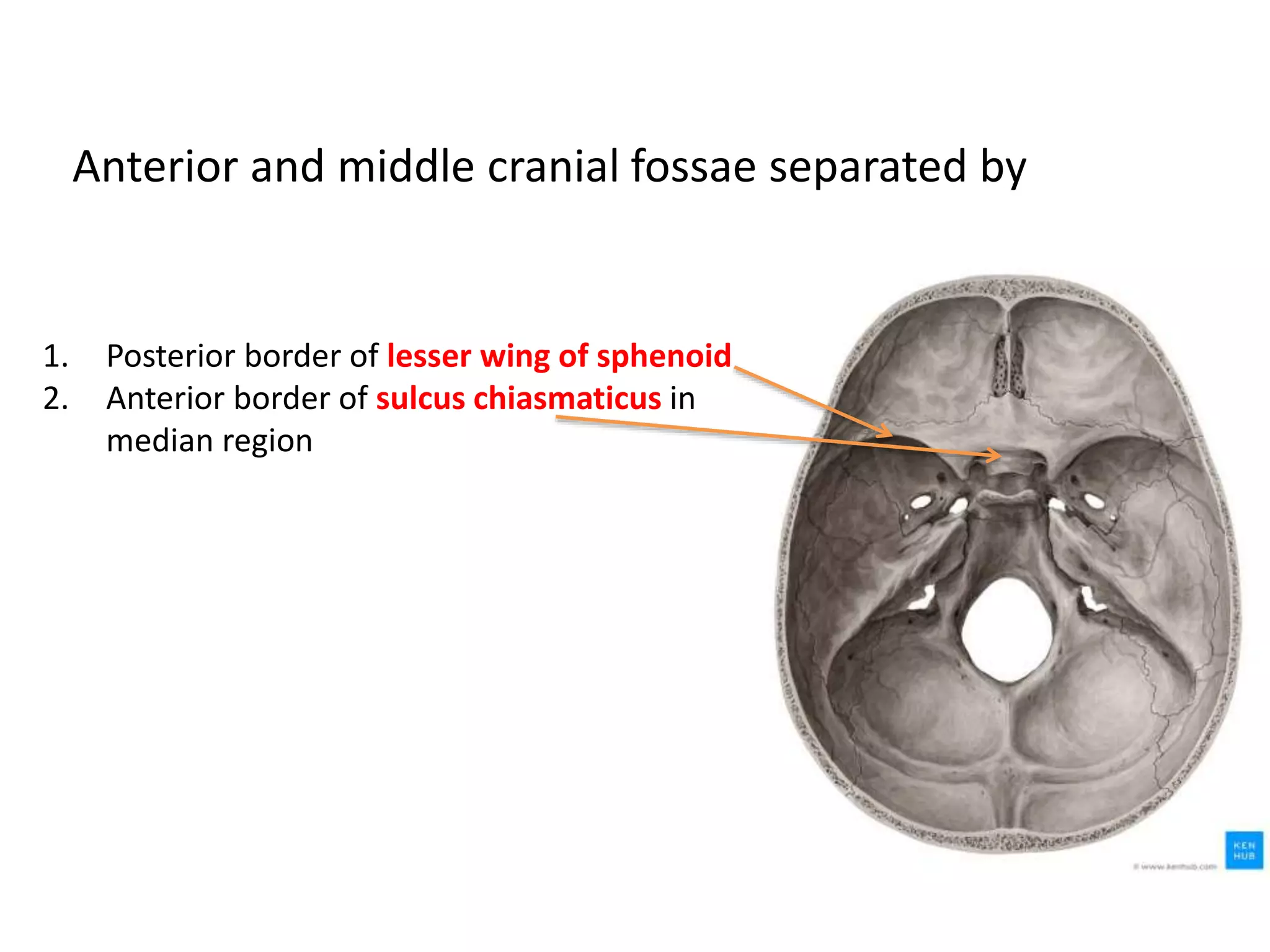 anterior cranial fossa.pptx