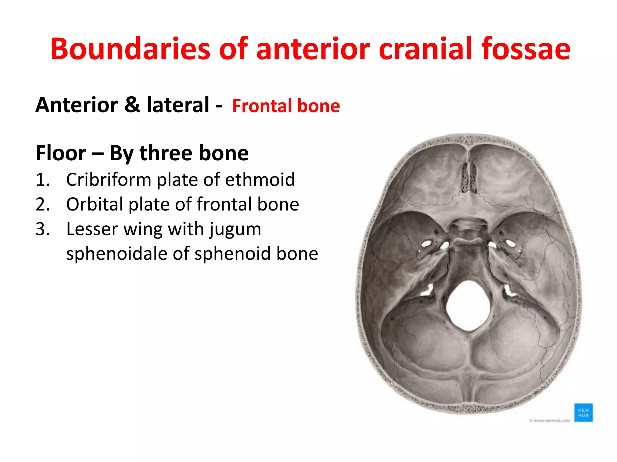 anterior cranial fossa.pptx
