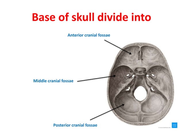 anterior cranial fossa.pptx