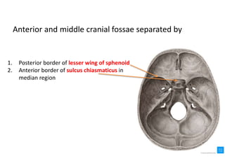 anterior cranial fossa.pptx