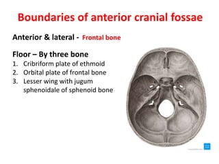 anterior cranial fossa.pptx
