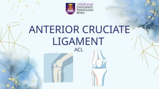 Anterior cruciate ligament acl injury.pptx