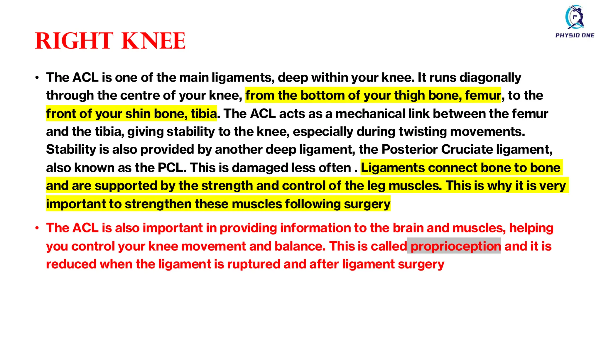 anterior cruciate ligament rehabilitation | PDF