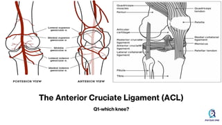 anterior cruciate ligament rehabilitation | PDF