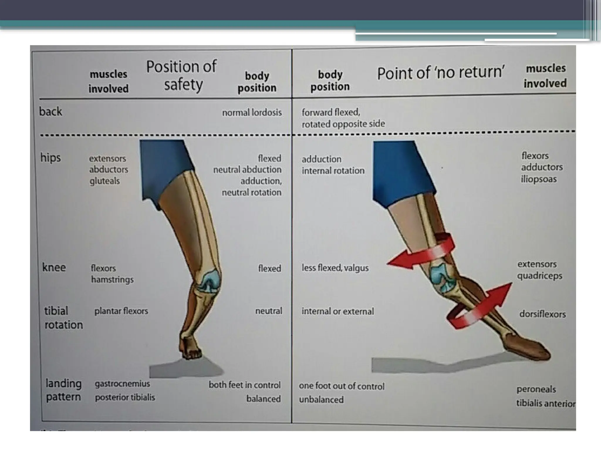 Anterior Cruciate Ligament Injuries.pptx