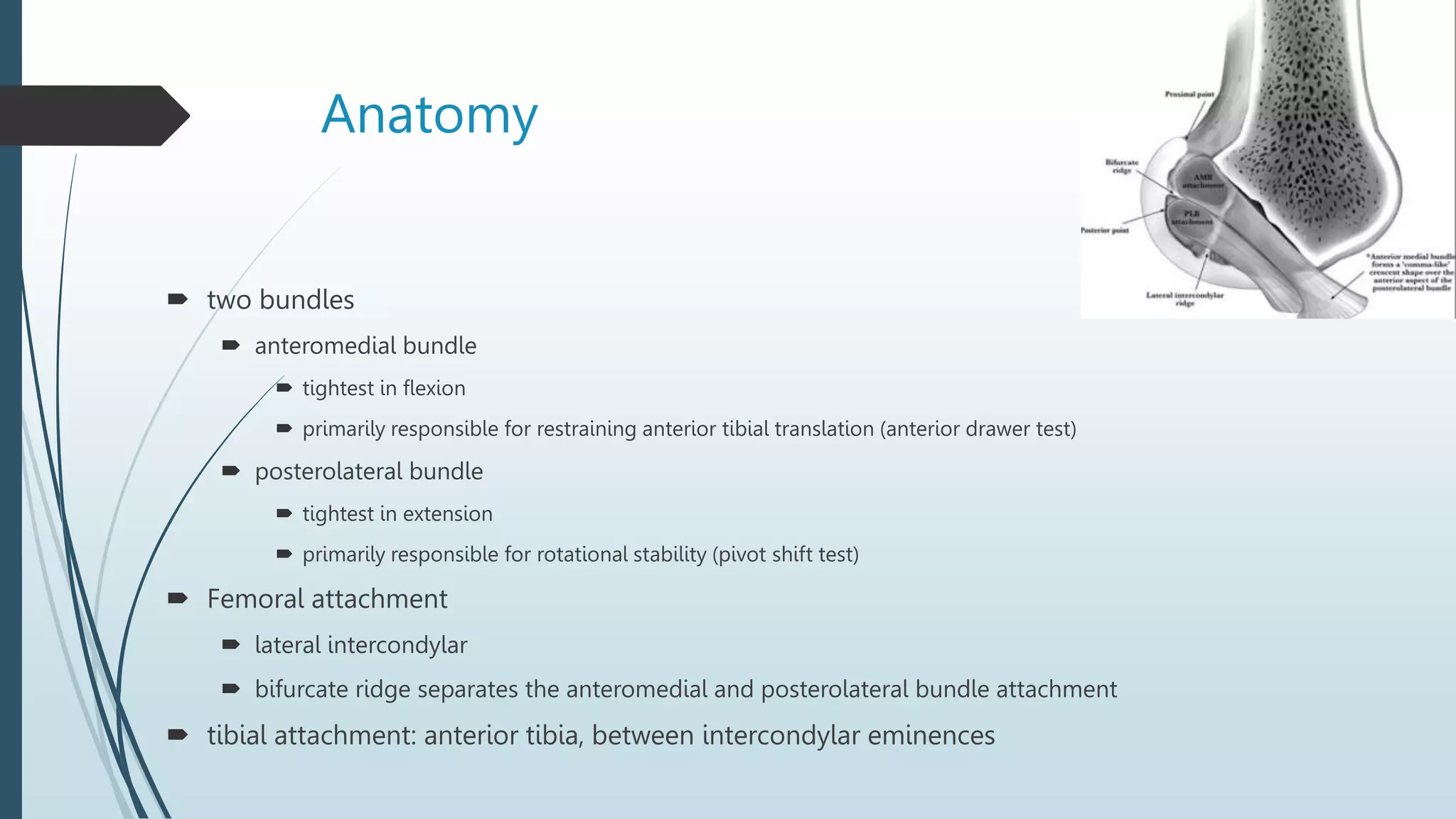 Anterior cruciate ligament injury.pptx