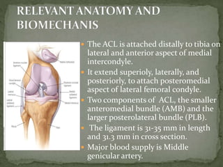 Anterior cruciate ligament reconstruction, rehabilitation, and.pptx
