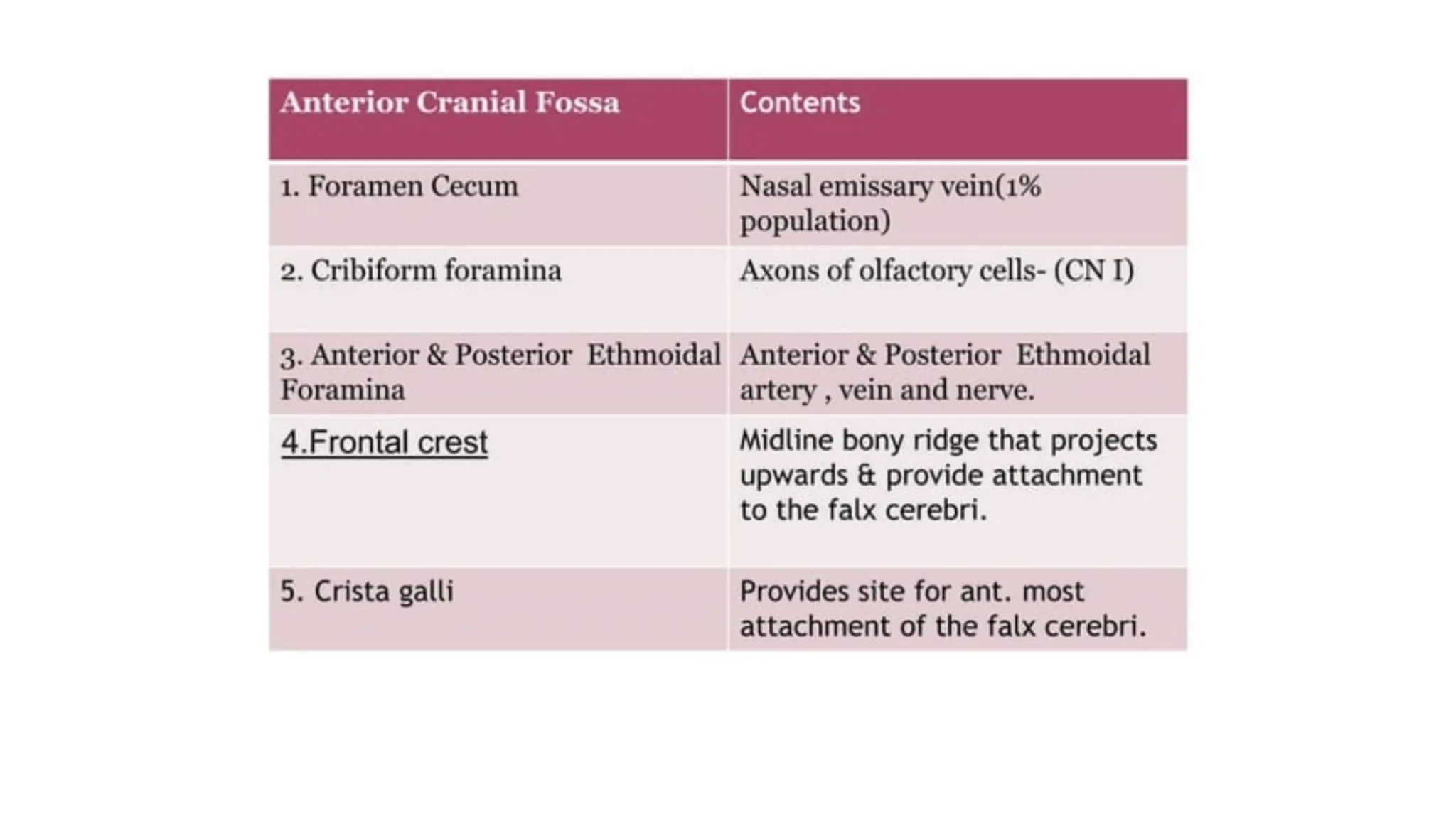 Anterior Fossa Anatomy Anterior Fossa Anterior Fossa | PPT