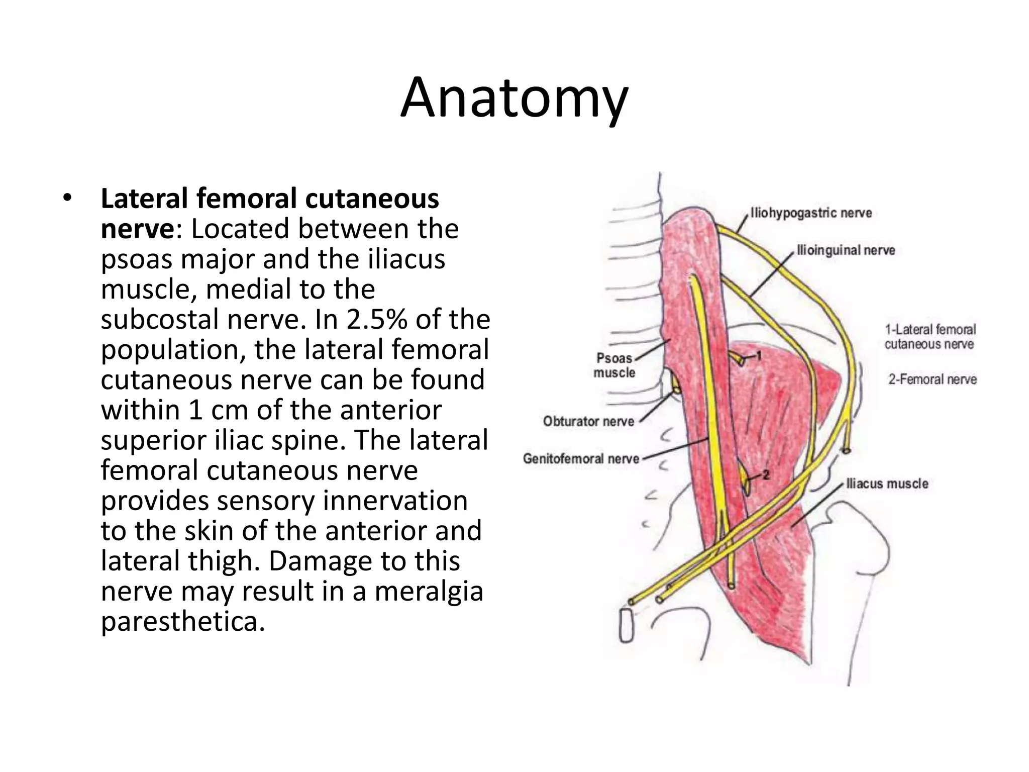 Anterior iliac crest | PPTX