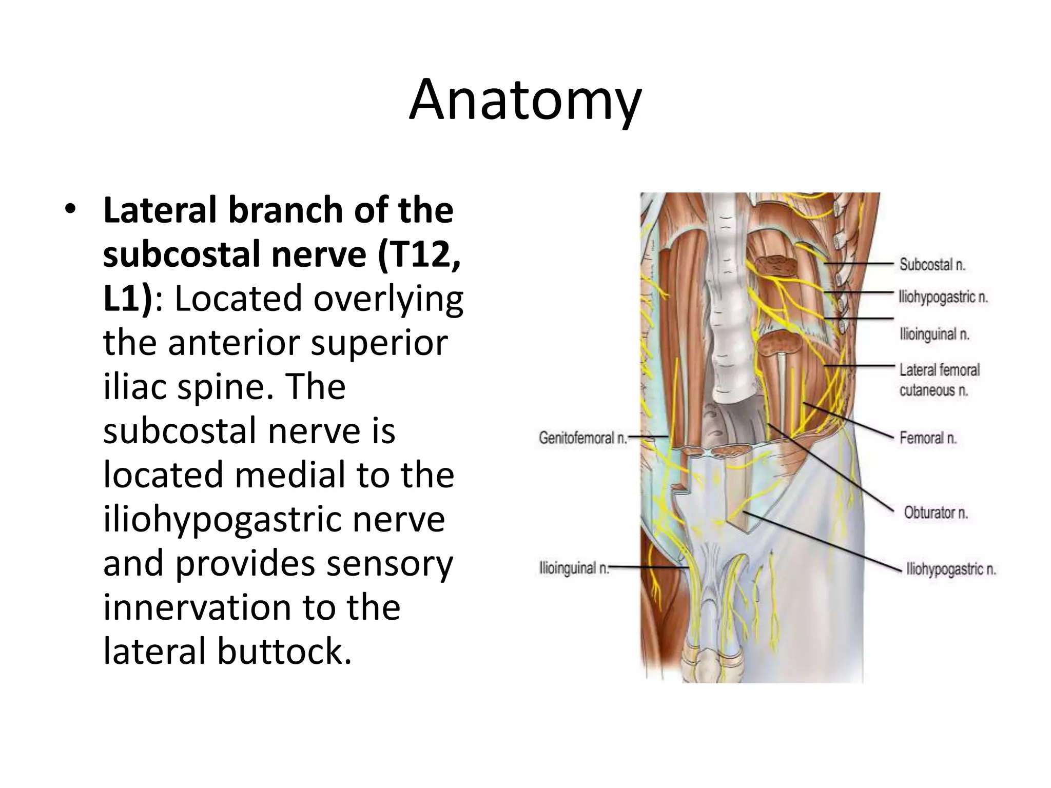 Anterior iliac crest | PPTX