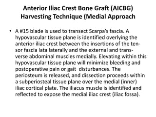 Anterior iliac crest | PPTX