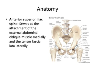 Anterior iliac crest | PPTX