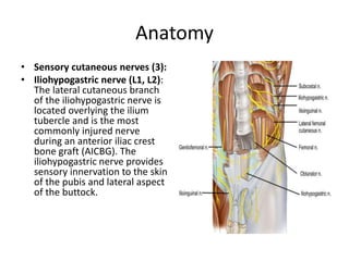 Anterior iliac crest | PPTX