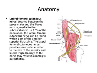 Iliac Crest Muscles