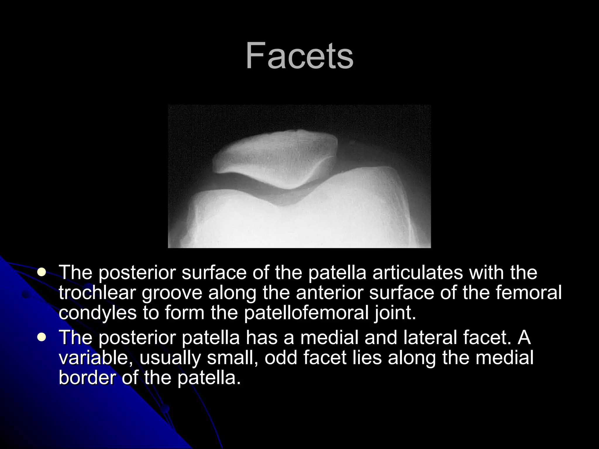 Anterior knee pain | PPT