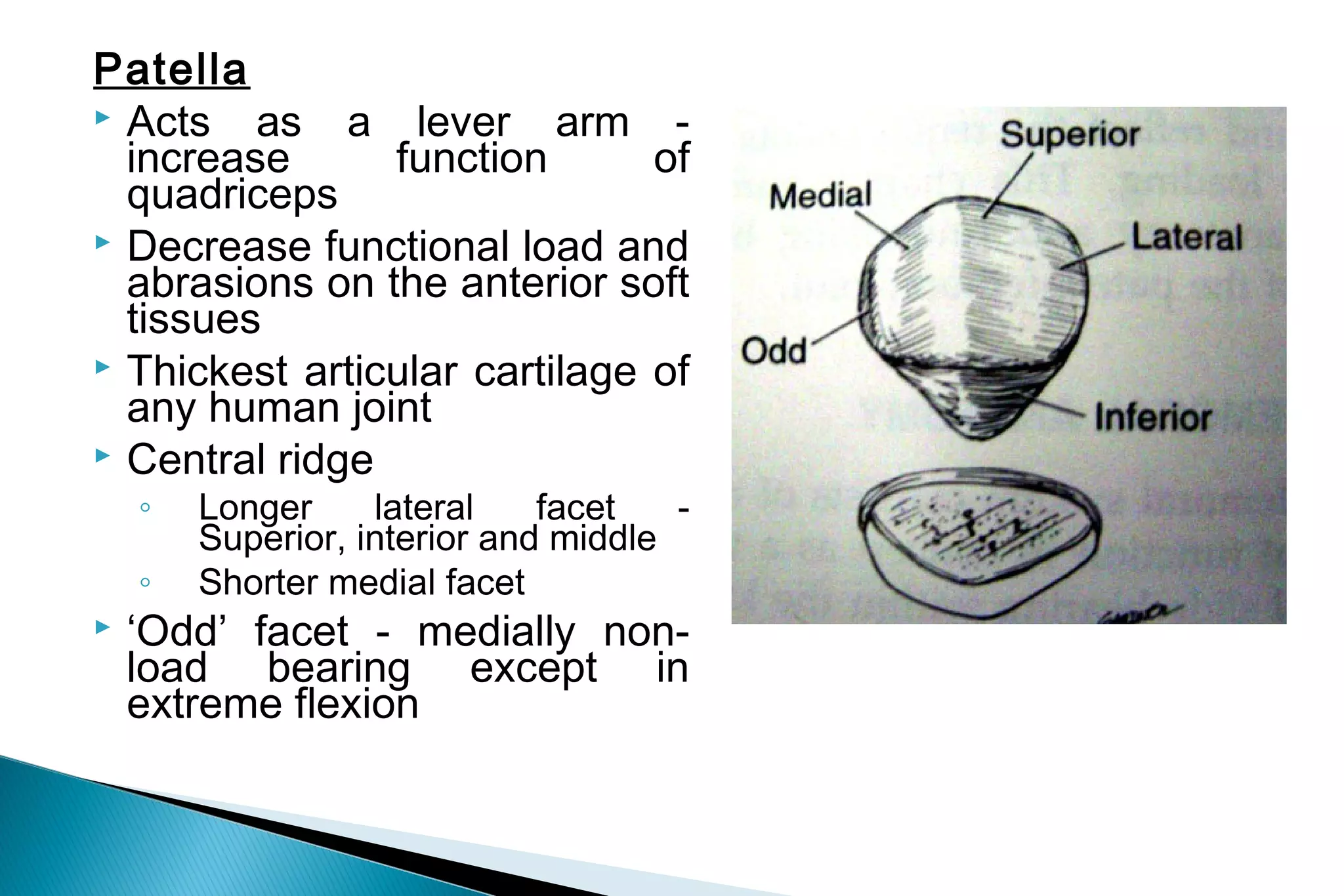 Anterior knee pain | PPT