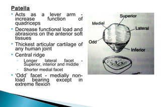 Anterior knee pain | PPT