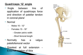 Anterior knee pain | PPT