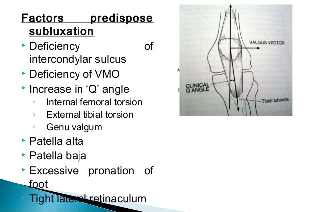 Knee Anatomy Sulcus Terminalis