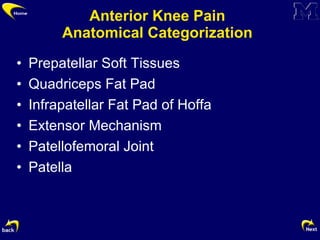Anterior Knee Pain By Dr. Brian Sabb | PPT