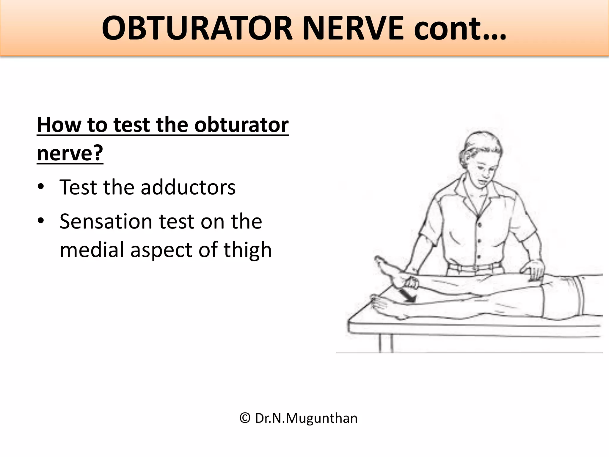 Obturator Muscle Test