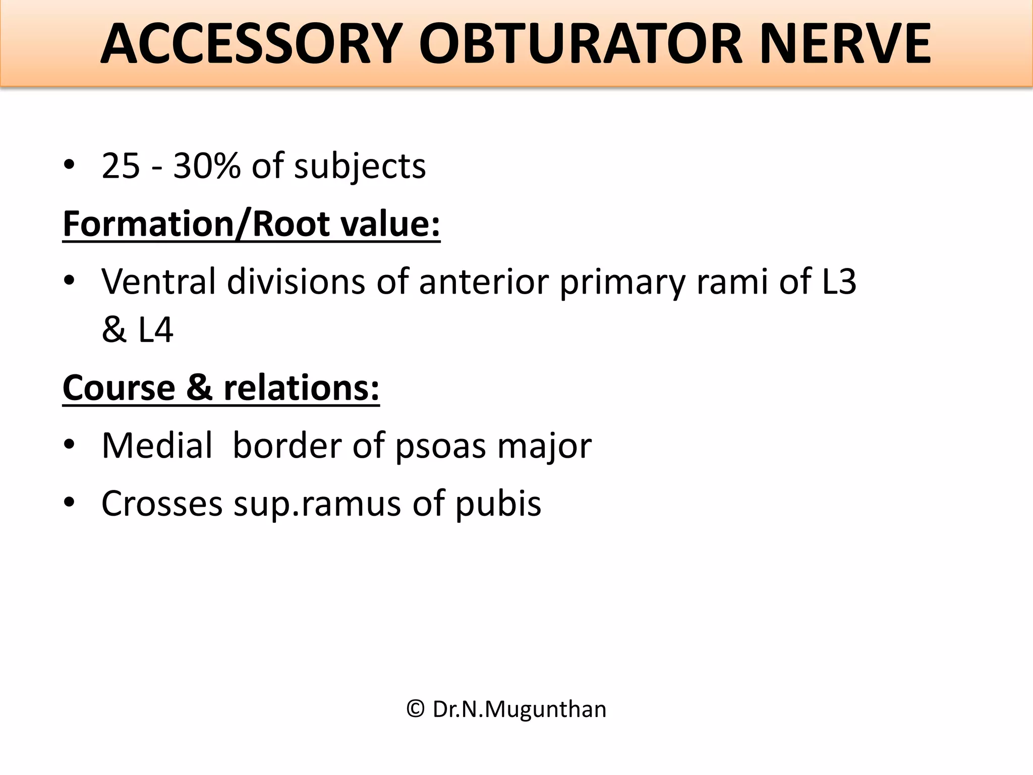 Anterior,medial compartment of thigh,adductor canal &obturator nerve Dr ...
