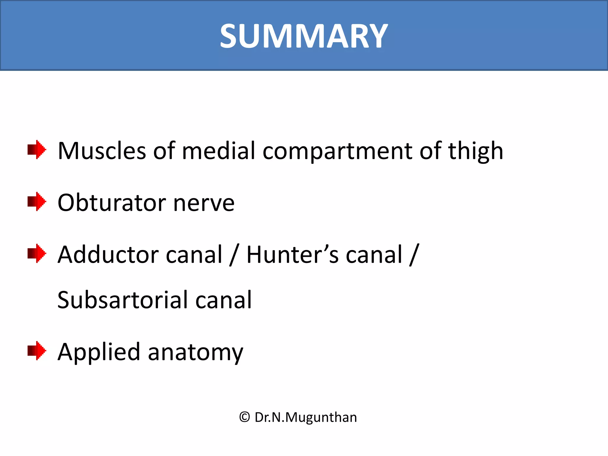 Anterior,medial compartment of thigh,adductor canal &obturator nerve Dr ...