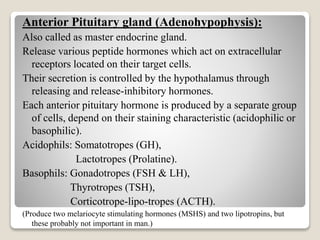 anteriorpituitaryhormoneanaloguesinhibitors | PPT