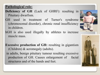 anteriorpituitaryhormoneanaloguesinhibitors | PPT