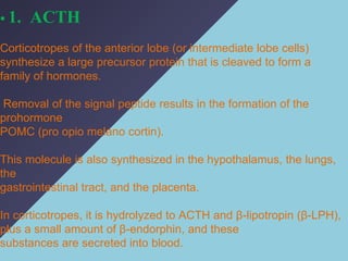 Anterior pituitary hormones converted | PPT
