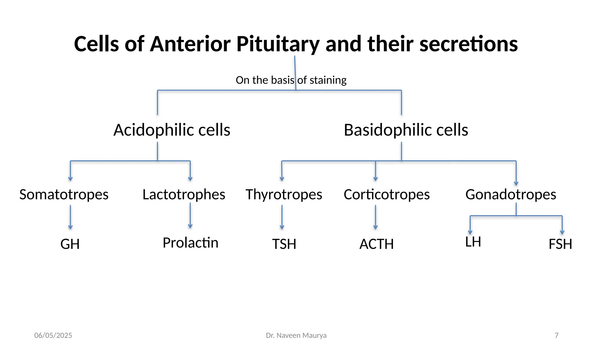 Anterior Pituitary Hormones By Dr. Naveen Maurya (2).pptx