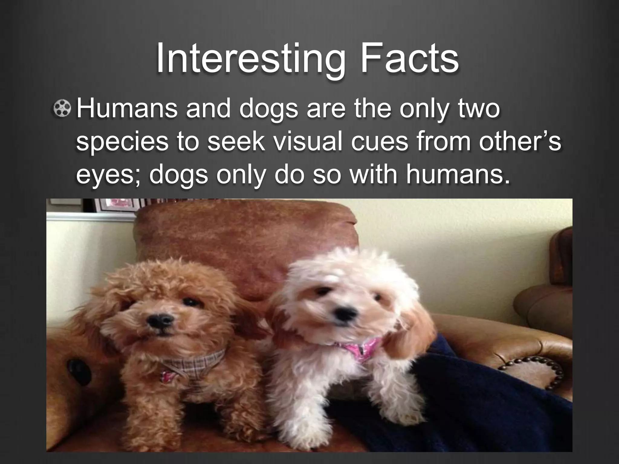 Anterior Pole - Dr. Scott Burdette | PPTX