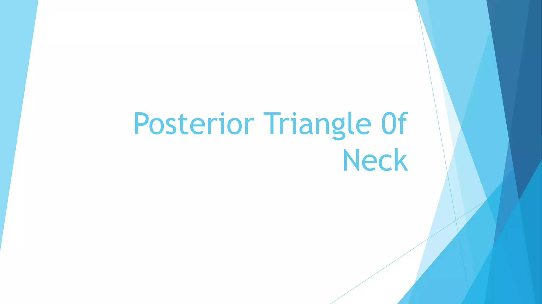 Anterior & posterior triangles of neck with sub mandibular region | PPTX