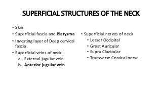 Anterior region of neck.pptx