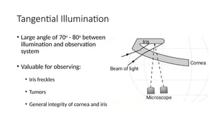 Anterior Segment Evaluation Techniques.pptx