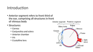 Anterior Segment Evaluation Techniques.pptx