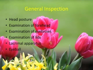 Anterior segment examination | PPTX