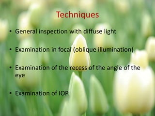 Anterior segment examination | PPTX