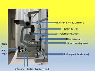 Anterior segment examination | PPTX