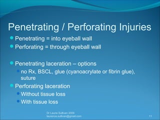 Anterior segment trauma ranzco 11112009 | PPT