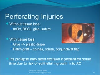 Anterior segment trauma ranzco 11112009 | PPT
