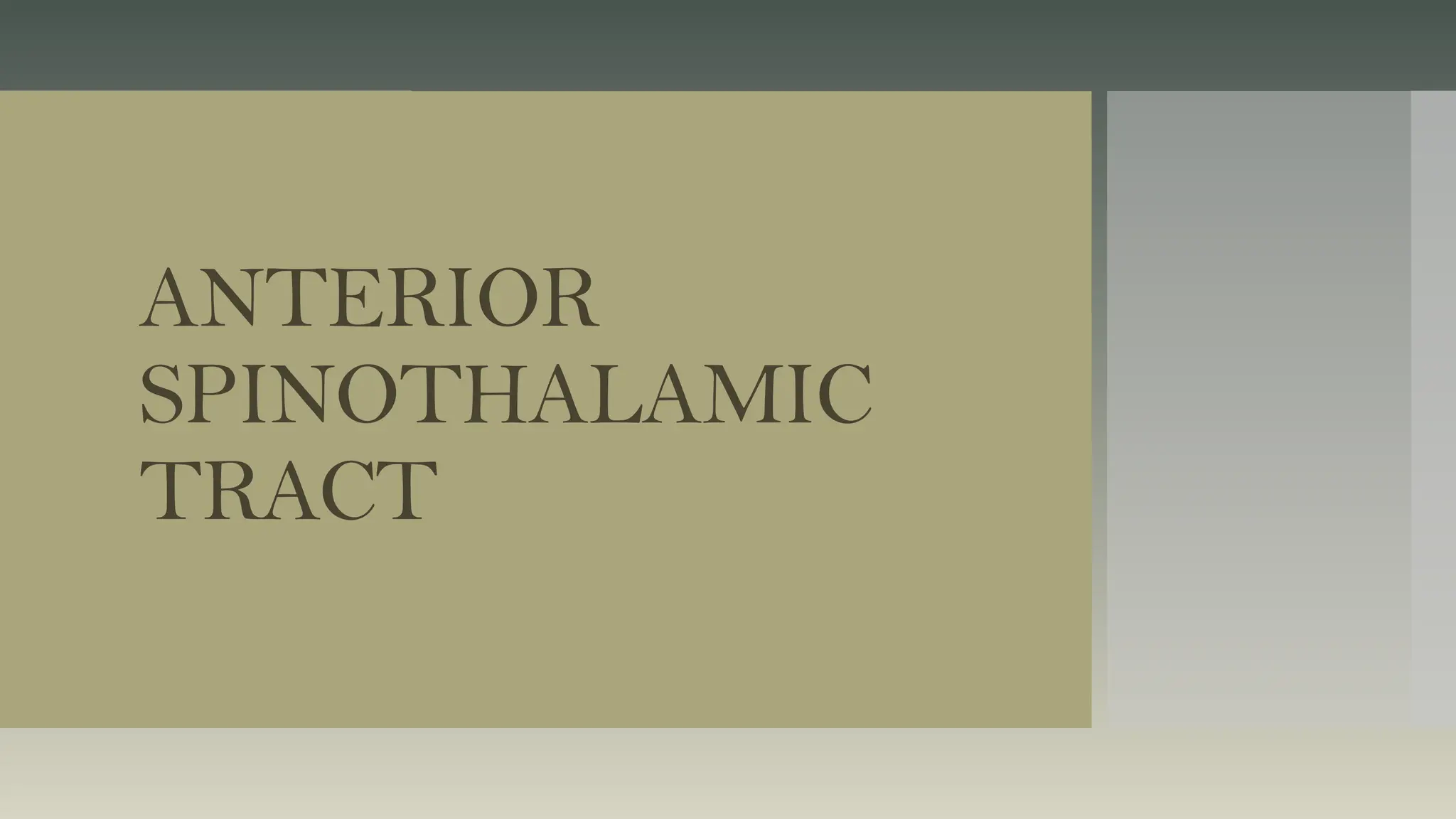 ANTERIOR SPINOTHALAMIC TRACT physiology (1).pptx