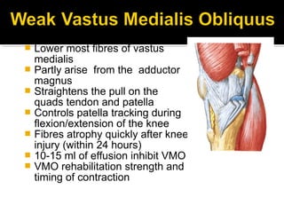 Anterior thigh by- dr. armaan singh | PPT