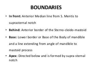 Anterior traingle of neck -1.pptx