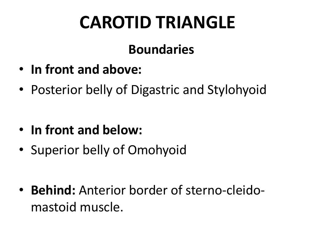 Anterior traingle of neck -1.pptx | Thyroid Disorders | Endocrine and ...