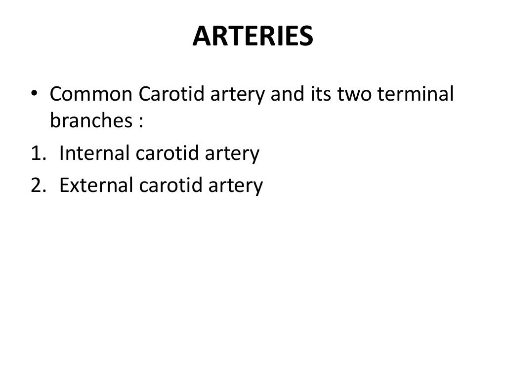 Anterior traingle of neck -1.pptx | Thyroid Disorders | Endocrine and ...